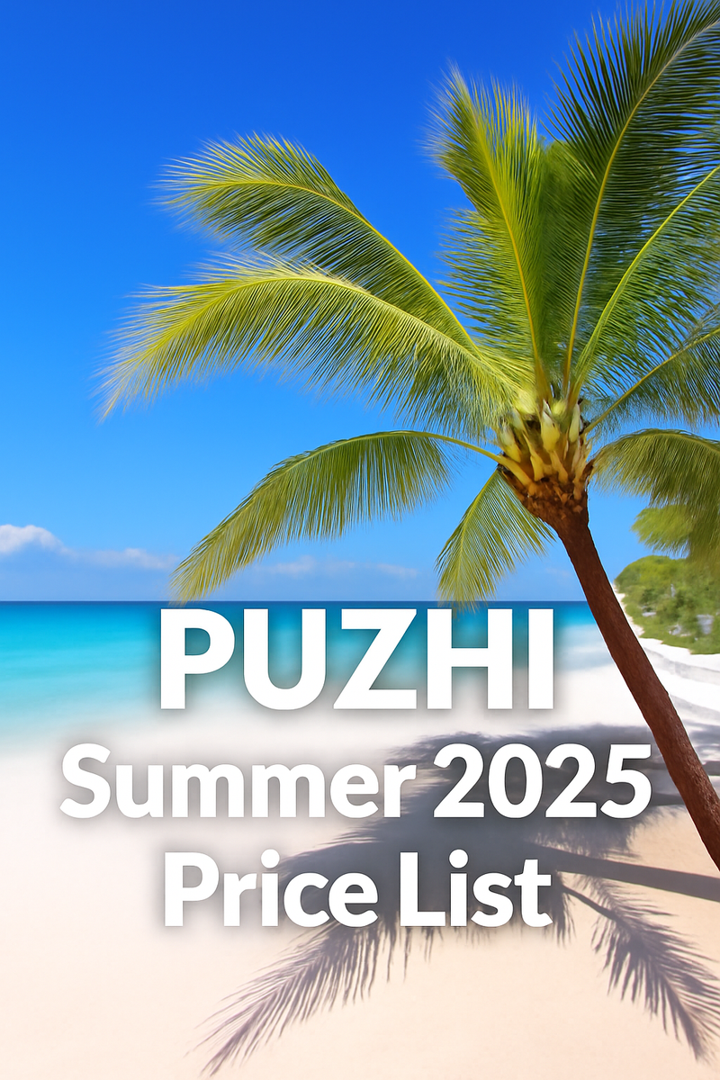 PUZHI - Summer 2025 - Full Price List – CodeRobin FPGA